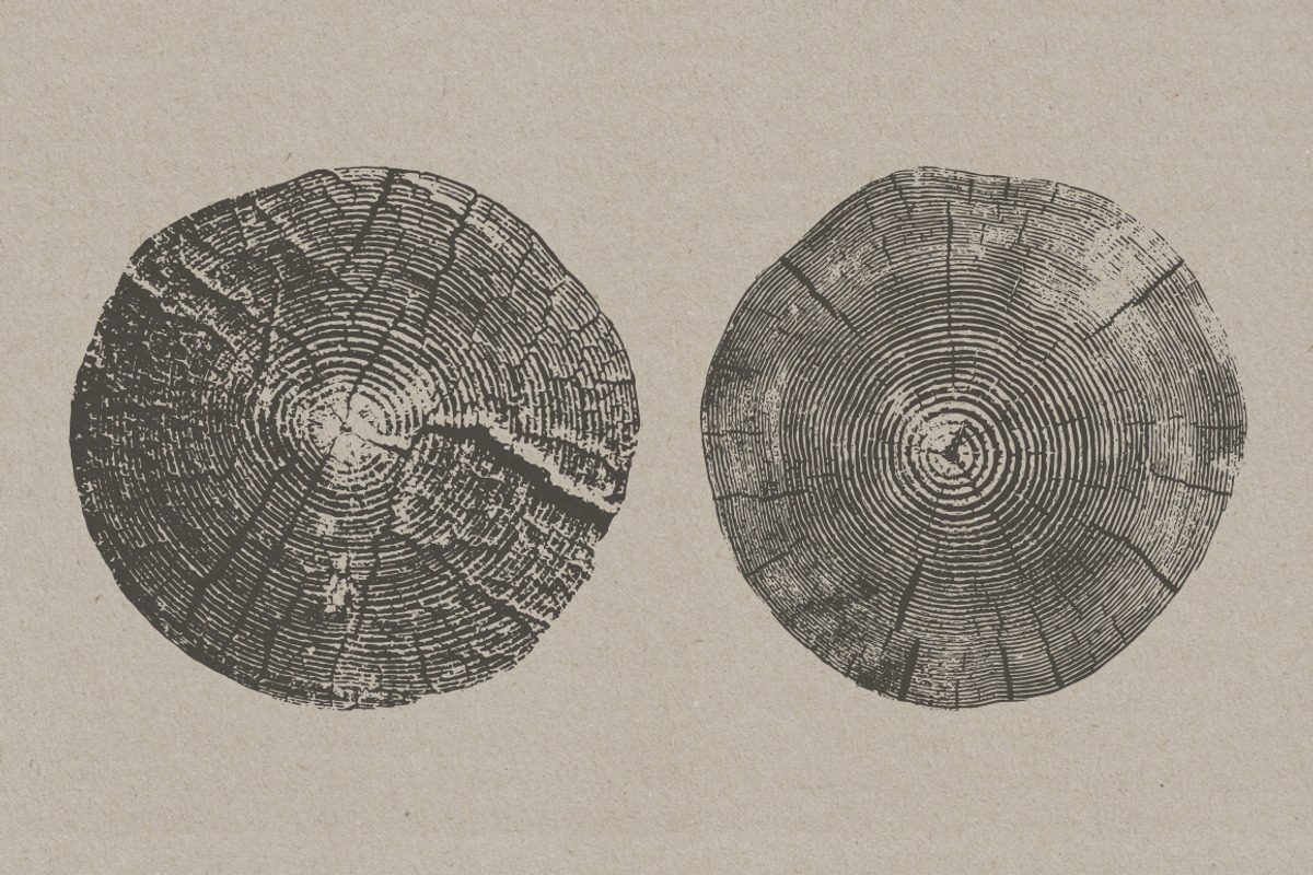 Tree Stump Textures - Vector & PNG, a Texture Graphic by Offset