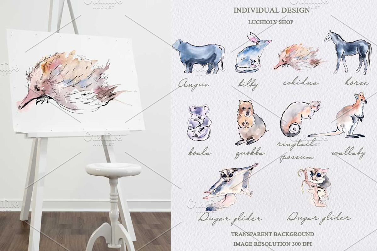Australian animals. set 1, an Animal Illustration by luchioly