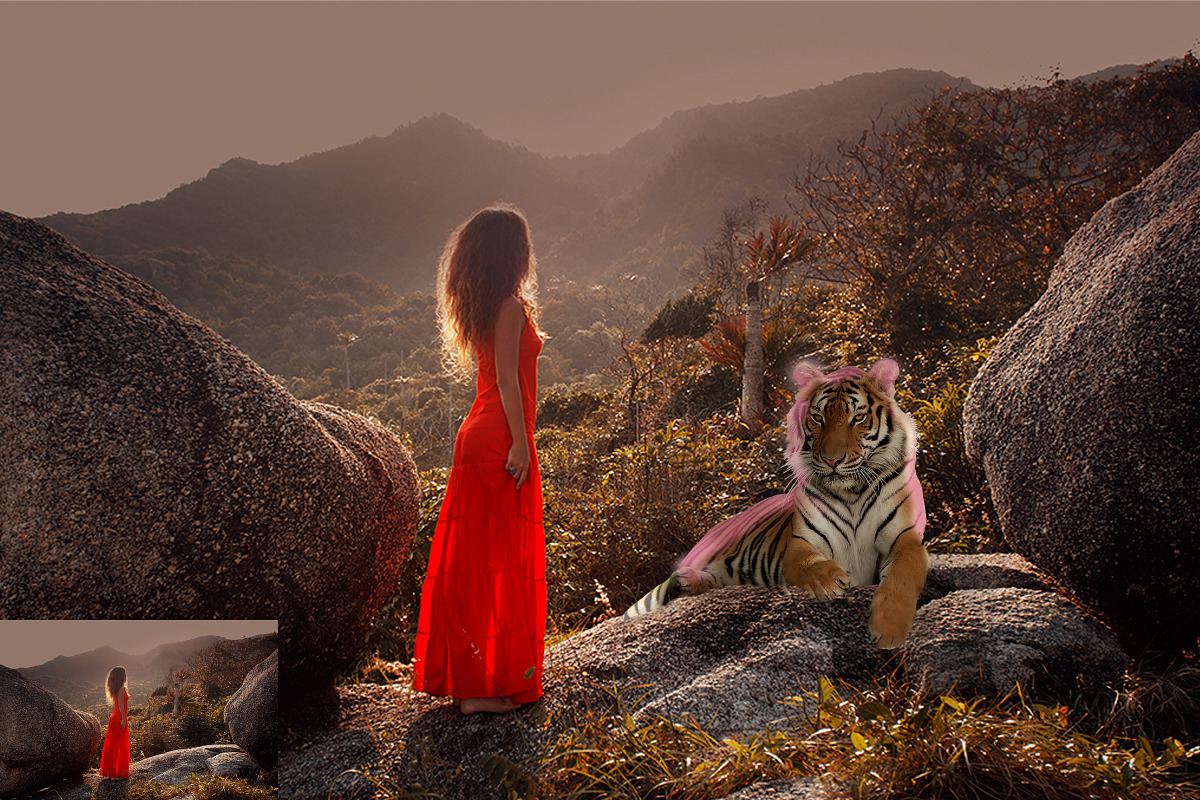 26 Tiger Photo Overlays