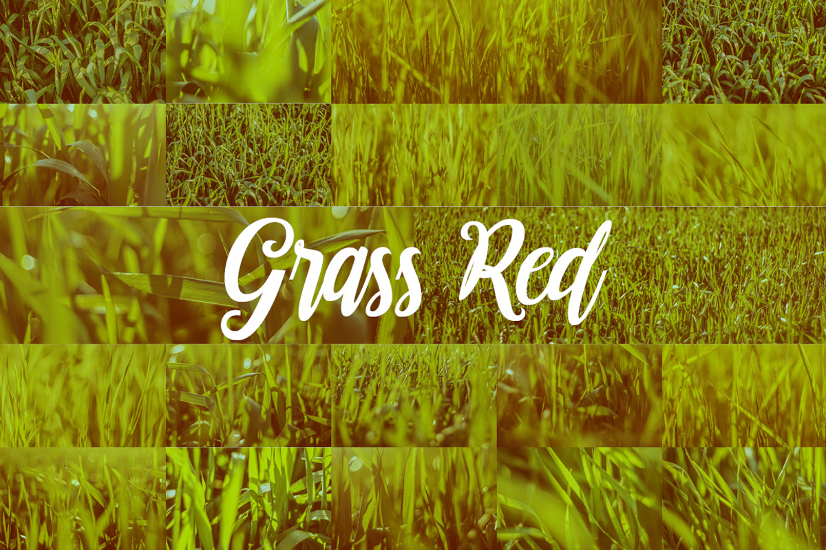 Natural HD Grass Backgrounds, a Texture Graphic by Graphic Spirit