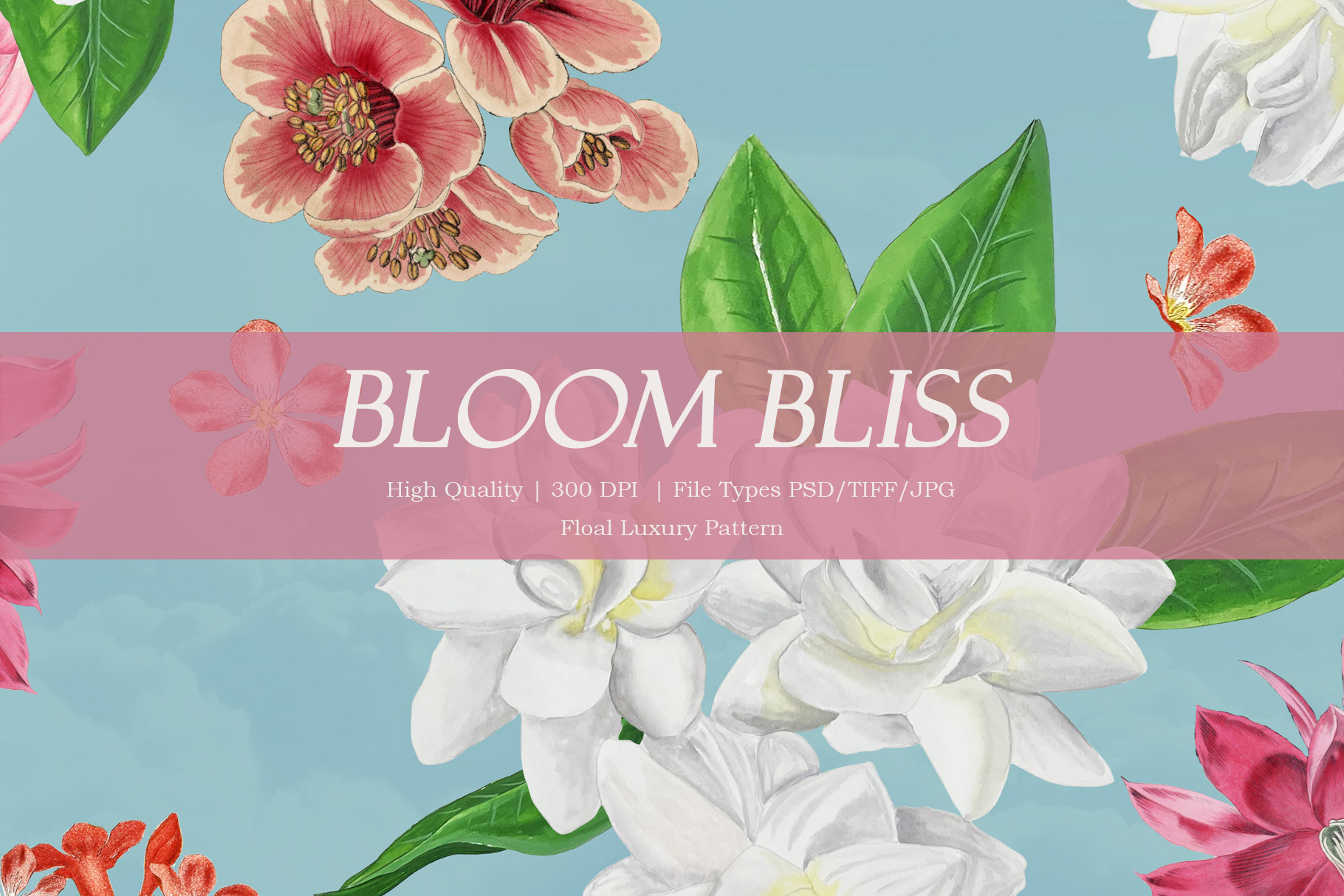 Bloom Bliss Pattern & Motifs | Creative Market