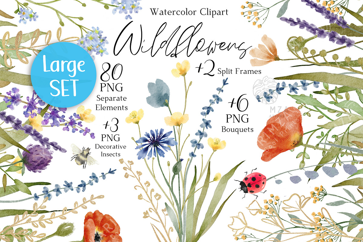 Watercolor Wildflowers PNG clip art
