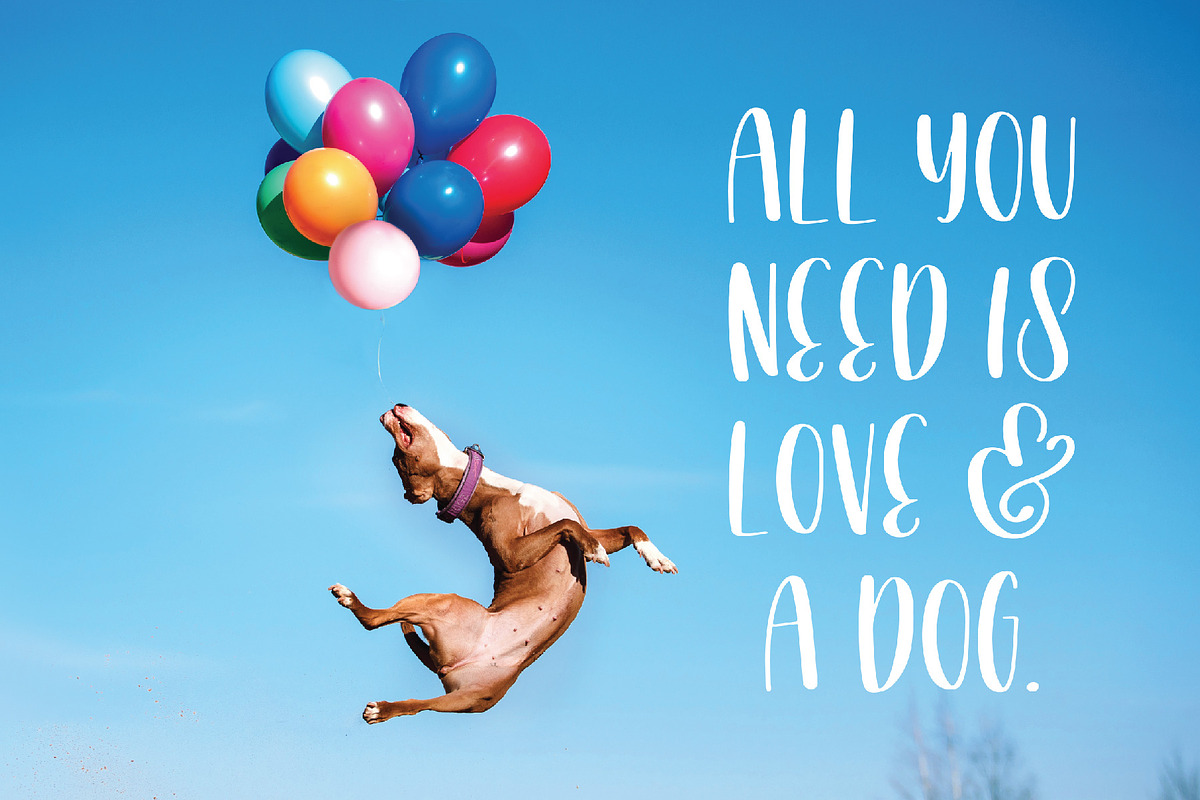 Scout Sans Handwritten Font, a Sans Serif Font by Hewitt Avenue