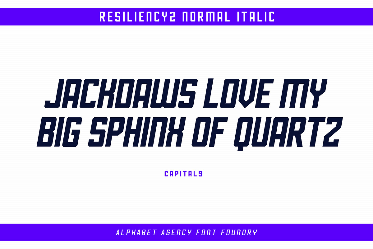 RESILIENCY FONT FAMILY, a Sans Serif Font by Alphabet Agency