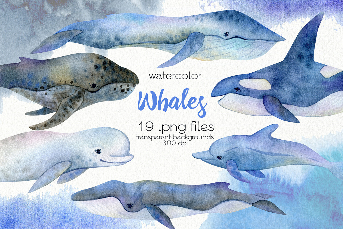 Watercolor Whales Clipart, an Illustration by OllyKo Art