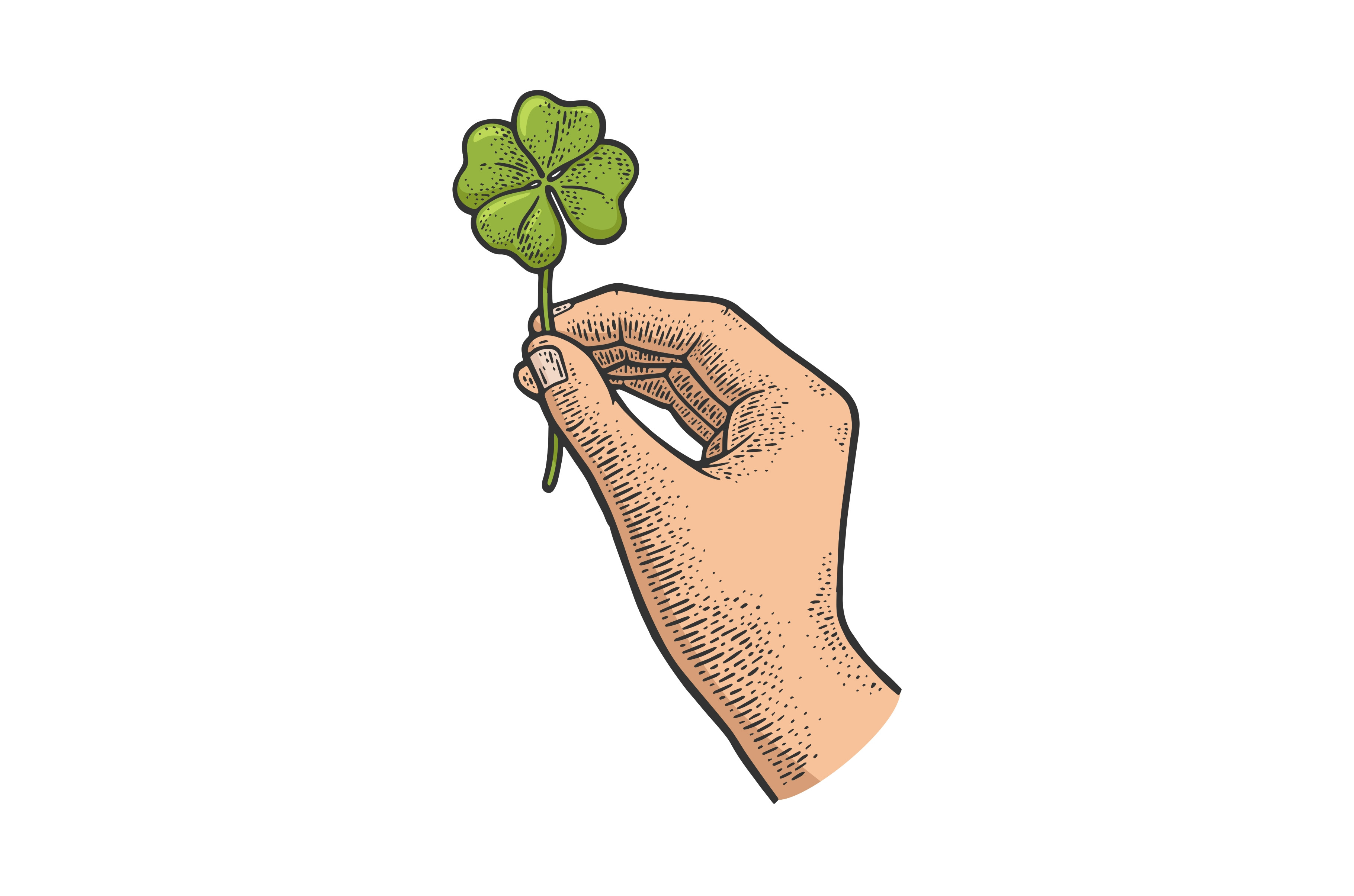 clover in hand sketch vector | Object Illustrations ~ Creative Market