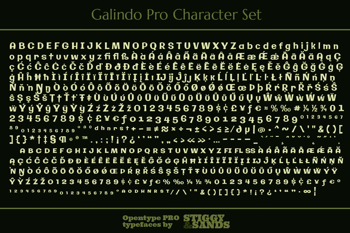 Galindo Pro, a Sans Serif Font by Stiggy & Sands