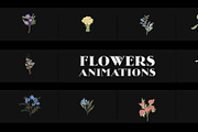 Flowers Falling | Motion Graphics