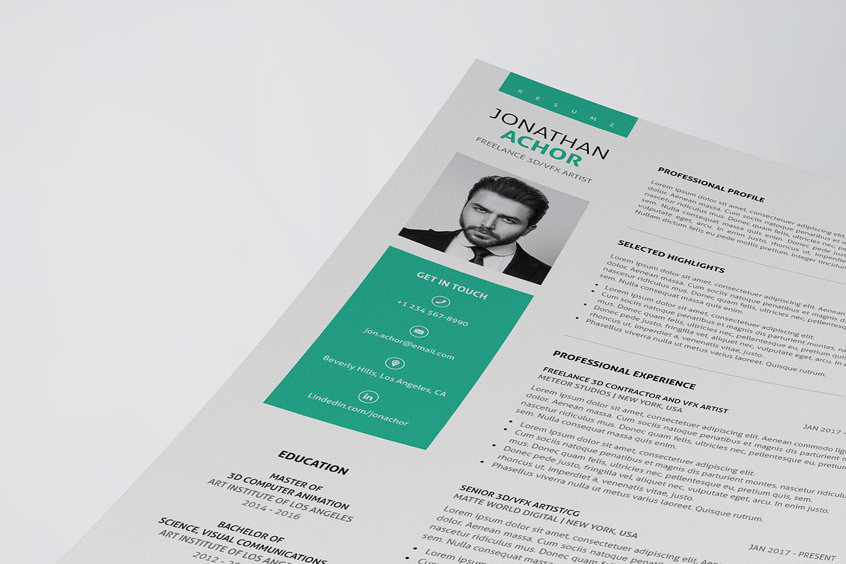 Professional Resume/CV Template, a Resume Template by theresumepark
