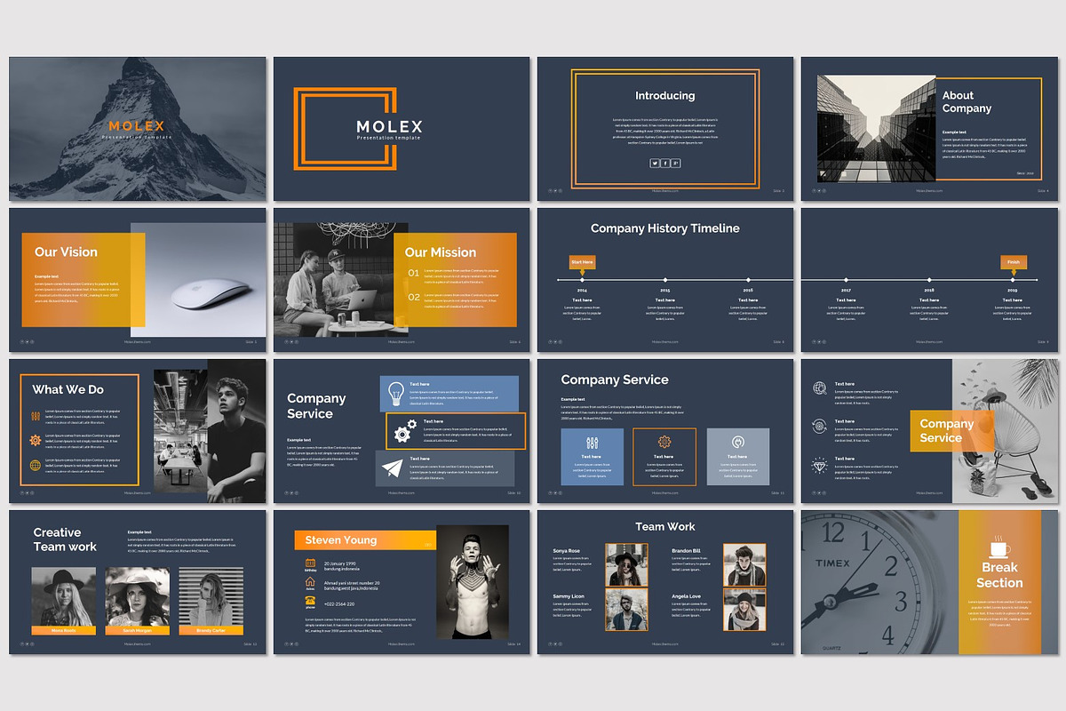 Molex - Powerpoint Template, a Presentation Template by inspirasign