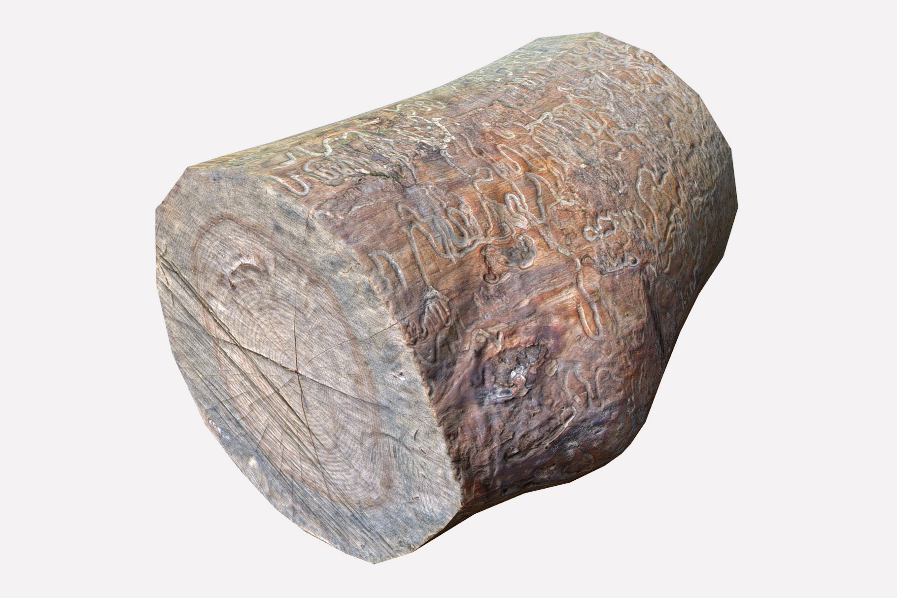 Low-poly log, an Environmental 3D Model by Beatheart Creative Studio