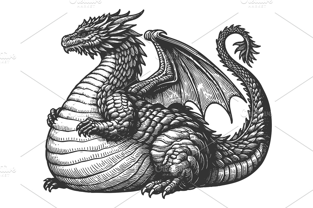 Chubby fat Dragon engraving vector, an Animal Illustration by AlexArt