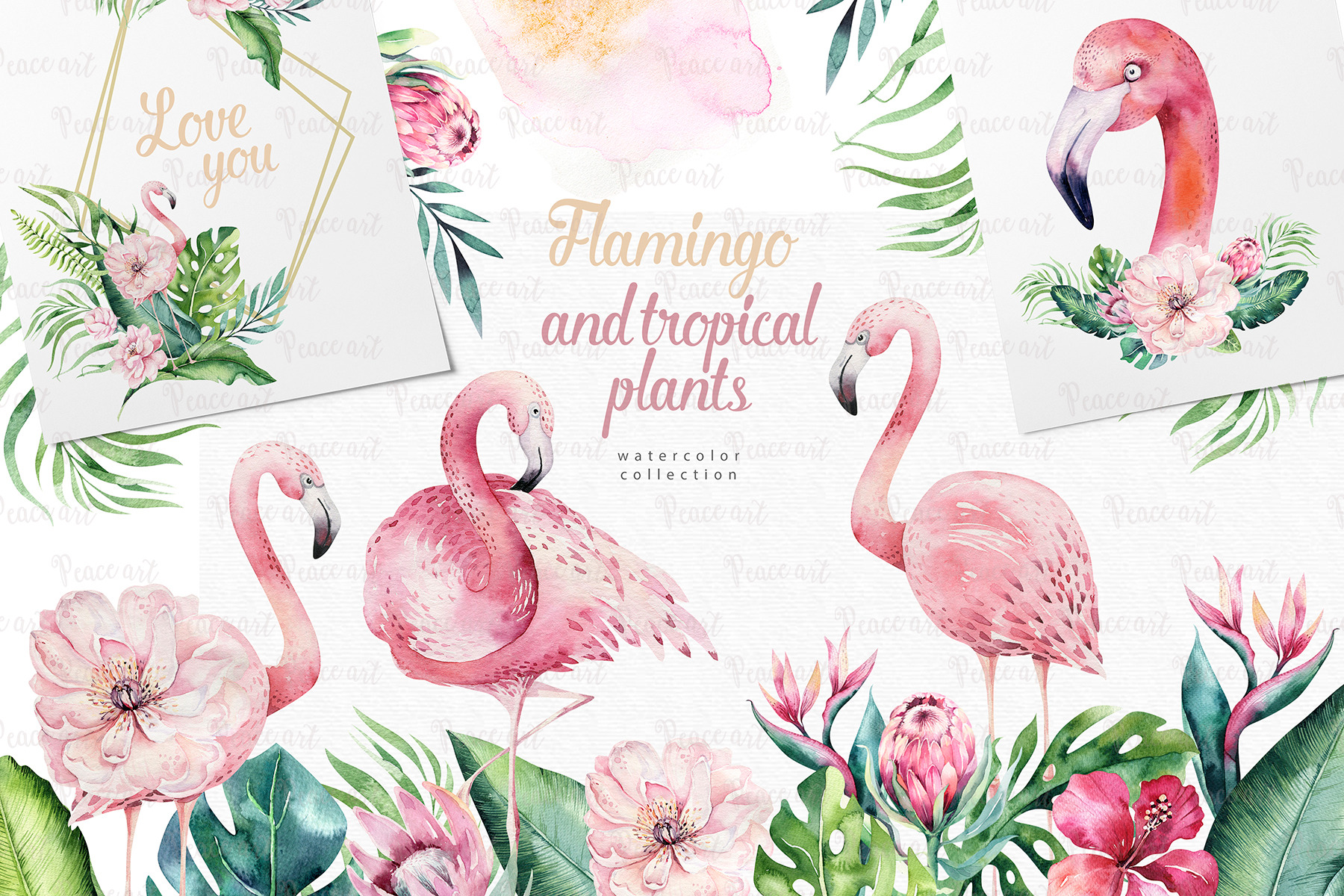 Tropical Flamingo collection, an Animal Illustration by Peace ART