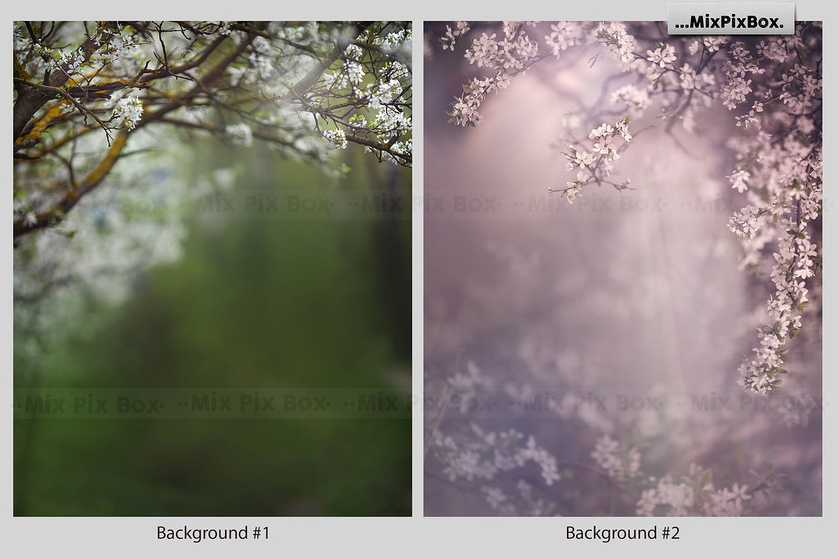 Spring Portrait Backgrounds, a Wallpaper Graphic by MixPixBox