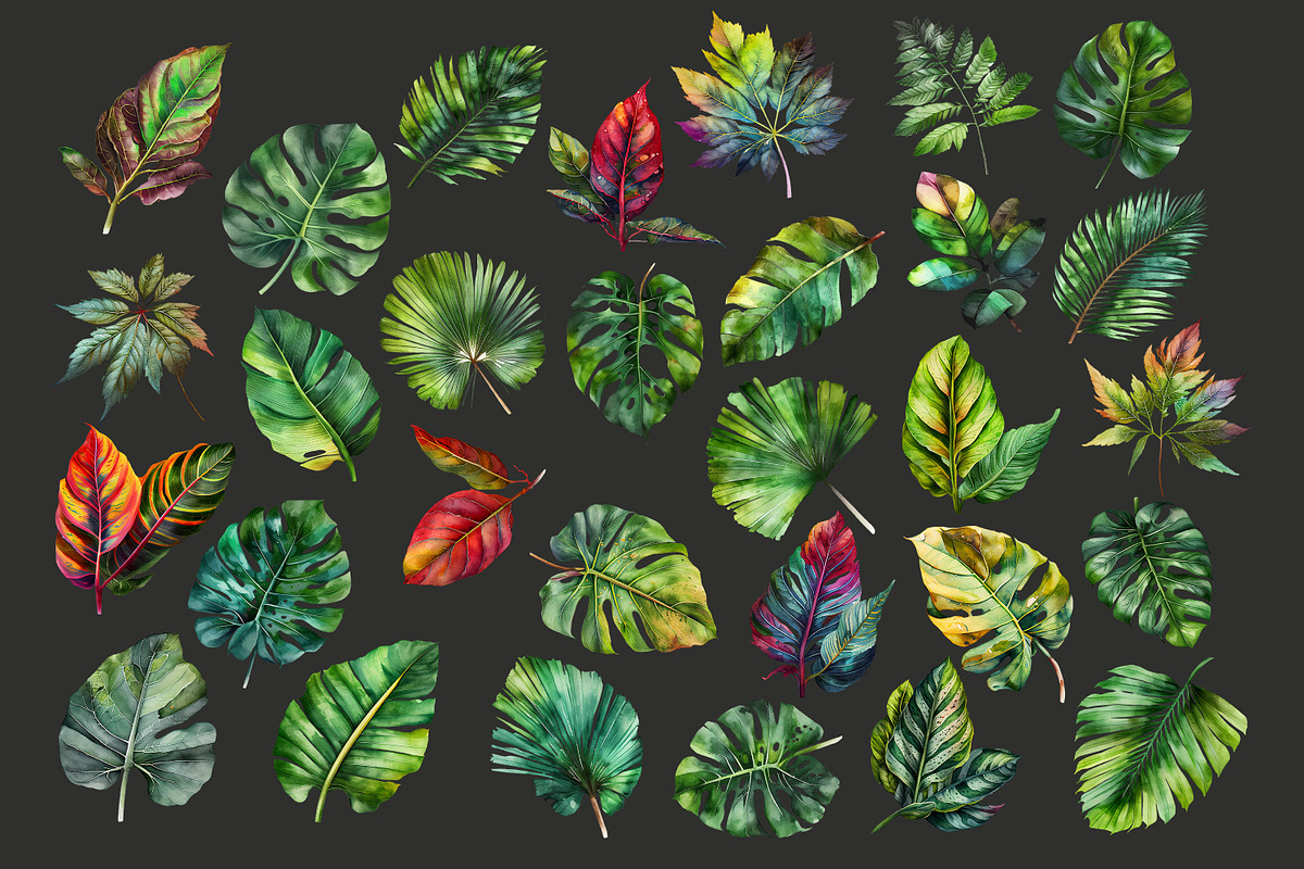 Watercolor Tropical Leaves Clipart, a Decorative Illustration by Vasmila