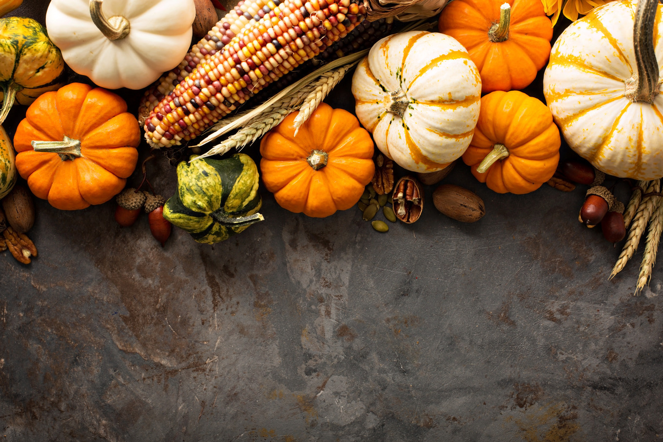 Fall background with pumpkins featuring fall, frame, and background, a ...