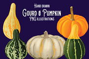 Fall pumpkin & gourd illustrations, an Illustration by TH Art