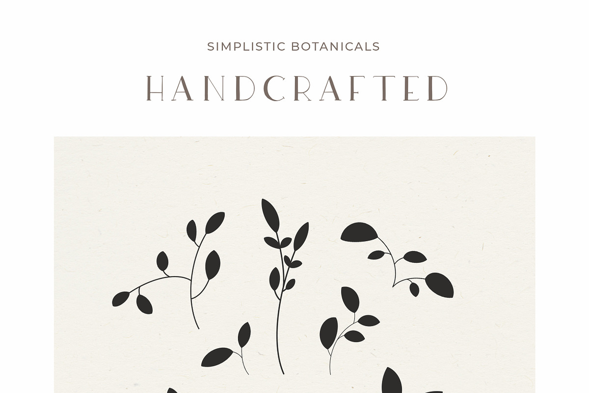 Wild Rye Hand Lettered Display Font, a Serif Font by Laras Wonderland