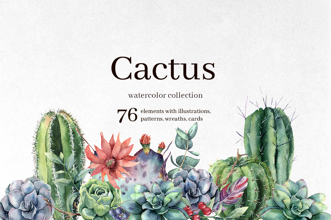 Cactus. Watercolor succulent clipart