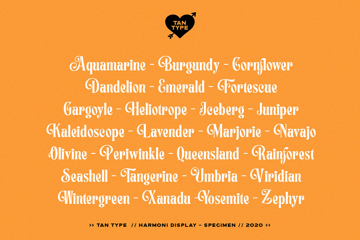 TAN - Harmoni, a Serif Font by TanType