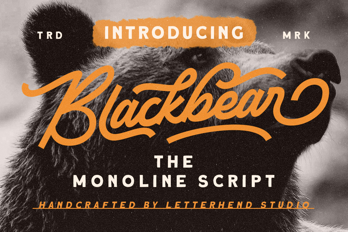 Blackbear - Monoline Script, a Script Font by Letterhend Studio