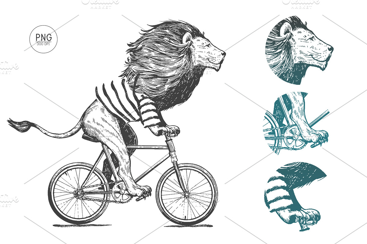Lion Rides Bicycle. PNG, EPS, an Illustration by FoxyImage