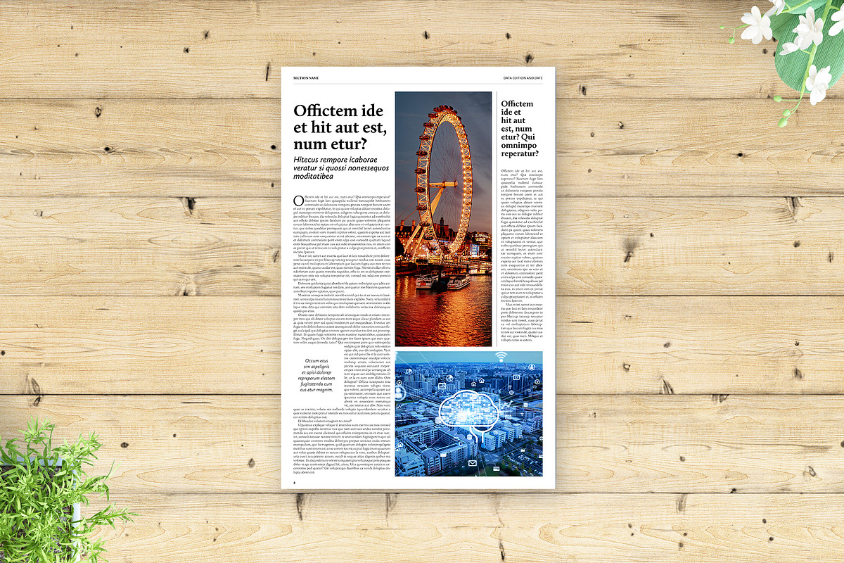 Old and Classic Tabloid Newspaper, a Magazine Template by McLittle Stock