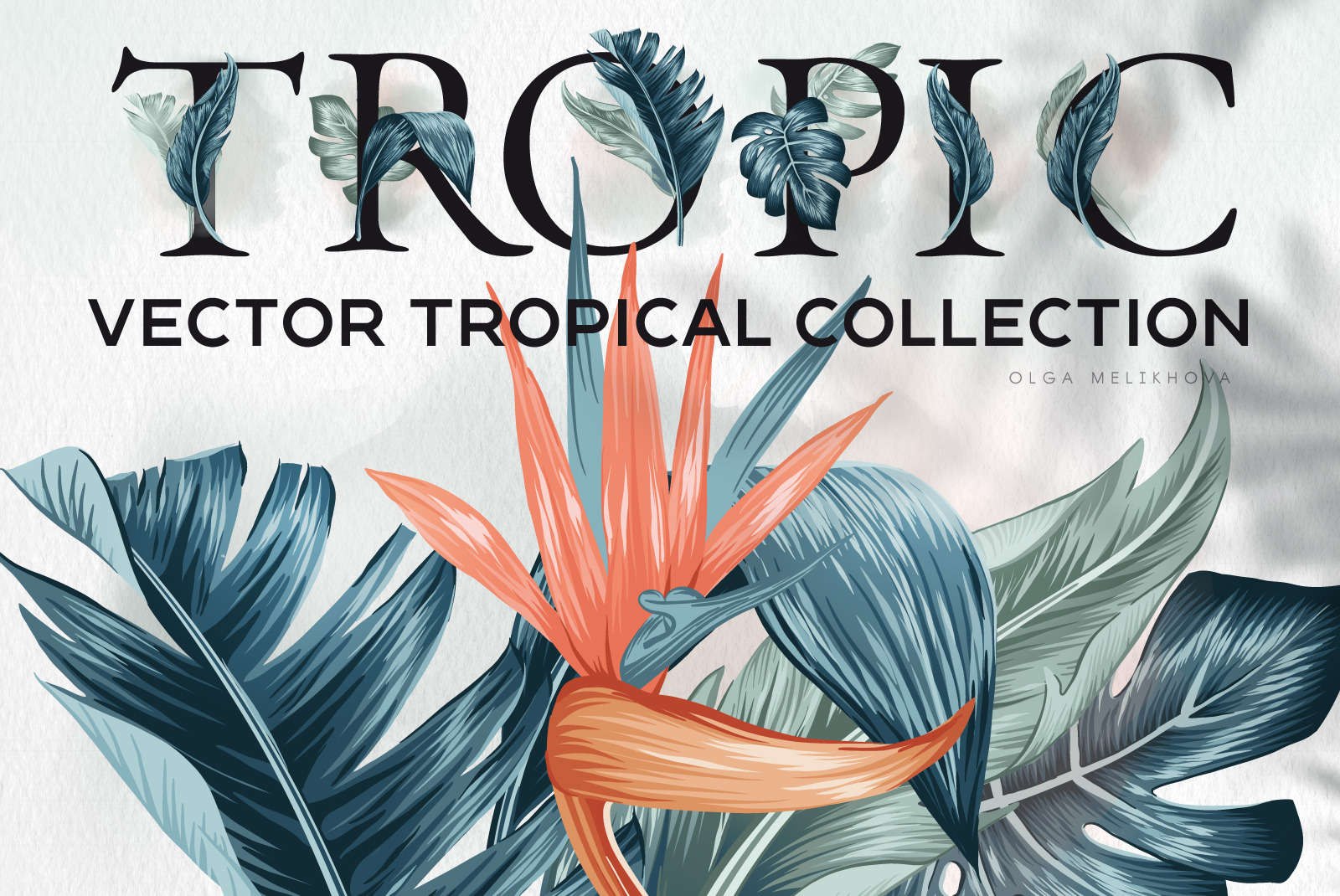 TROPIC - vector collection | Illustrations ~ Creative Market