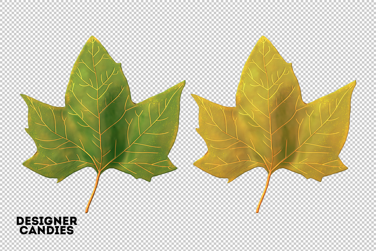 Autumn Leaves, an Object Graphic by DesignerCandies