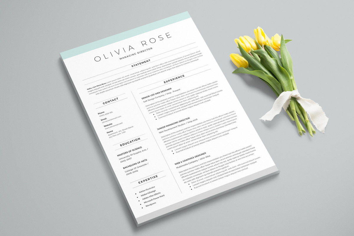 Resume/CV | Rose, a Resume Template by ThemeDevisers