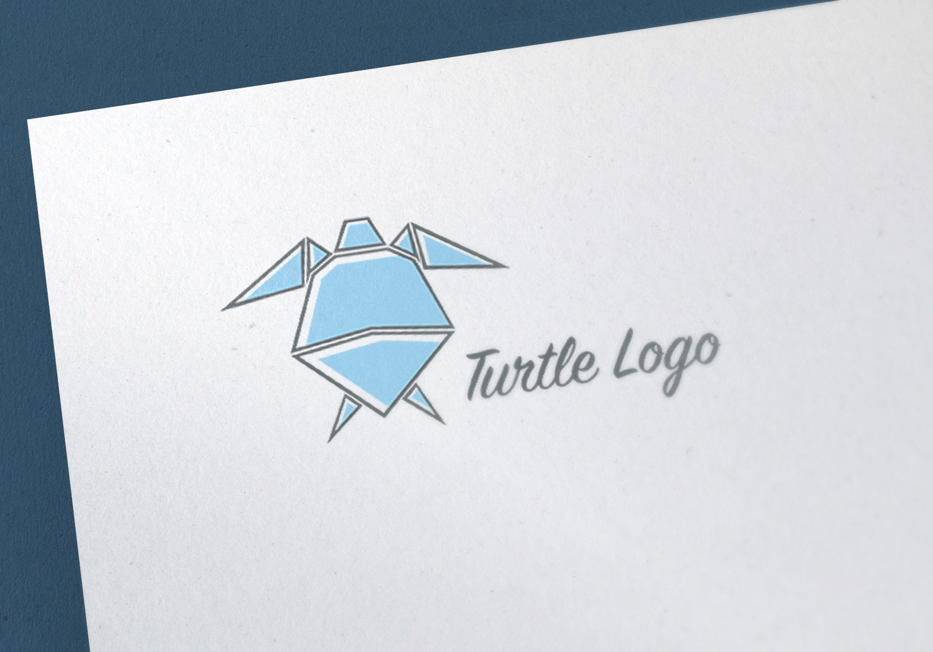 Turtle Logo Template, a Branding & Logo Template by Raj Shop