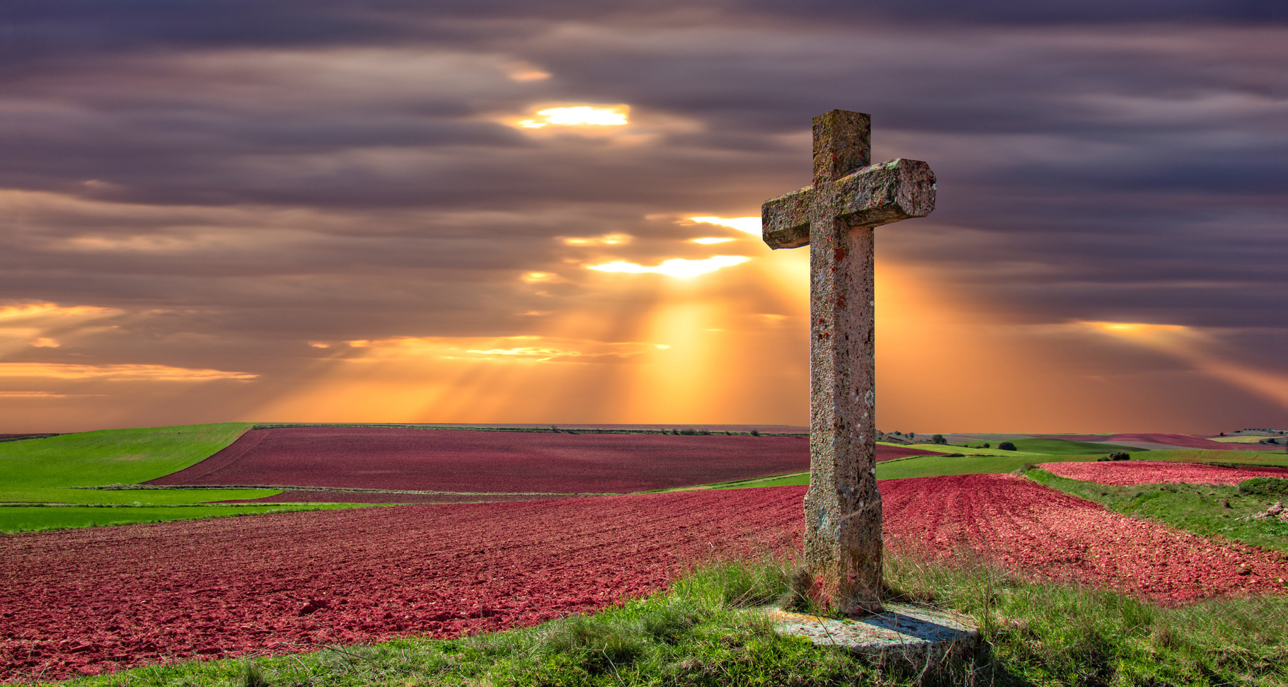 A cross in the field, a Nature Photo by Vicente Soler | Creative Market