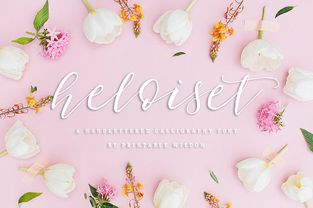 Ashley Brush Script, a Script Font by Printable Wisdom