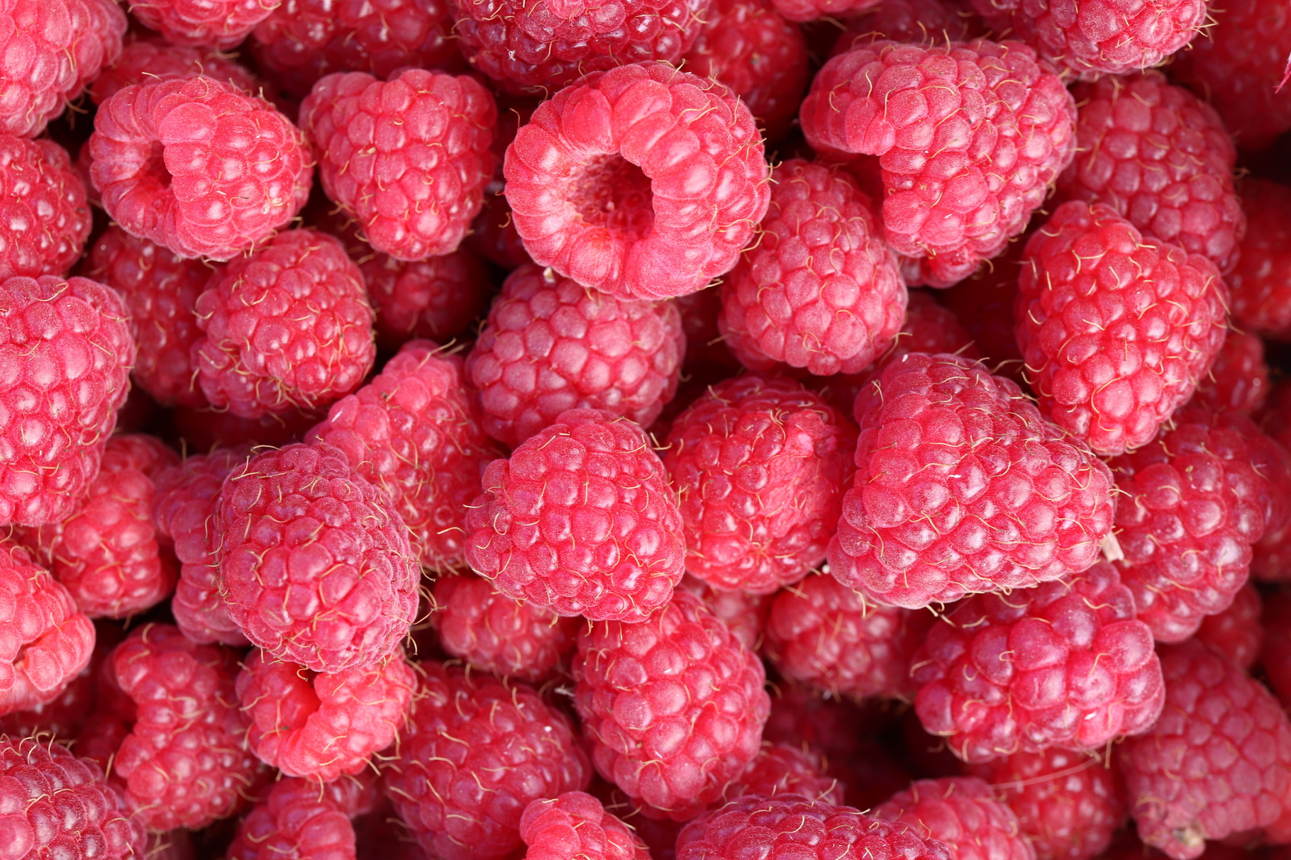 Raspberry filling texture featuring texture, background, and surface, a ...