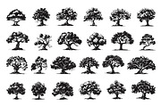 Young and Old Oak Trees Icon Set, an Object Illustration by LadadikArt
