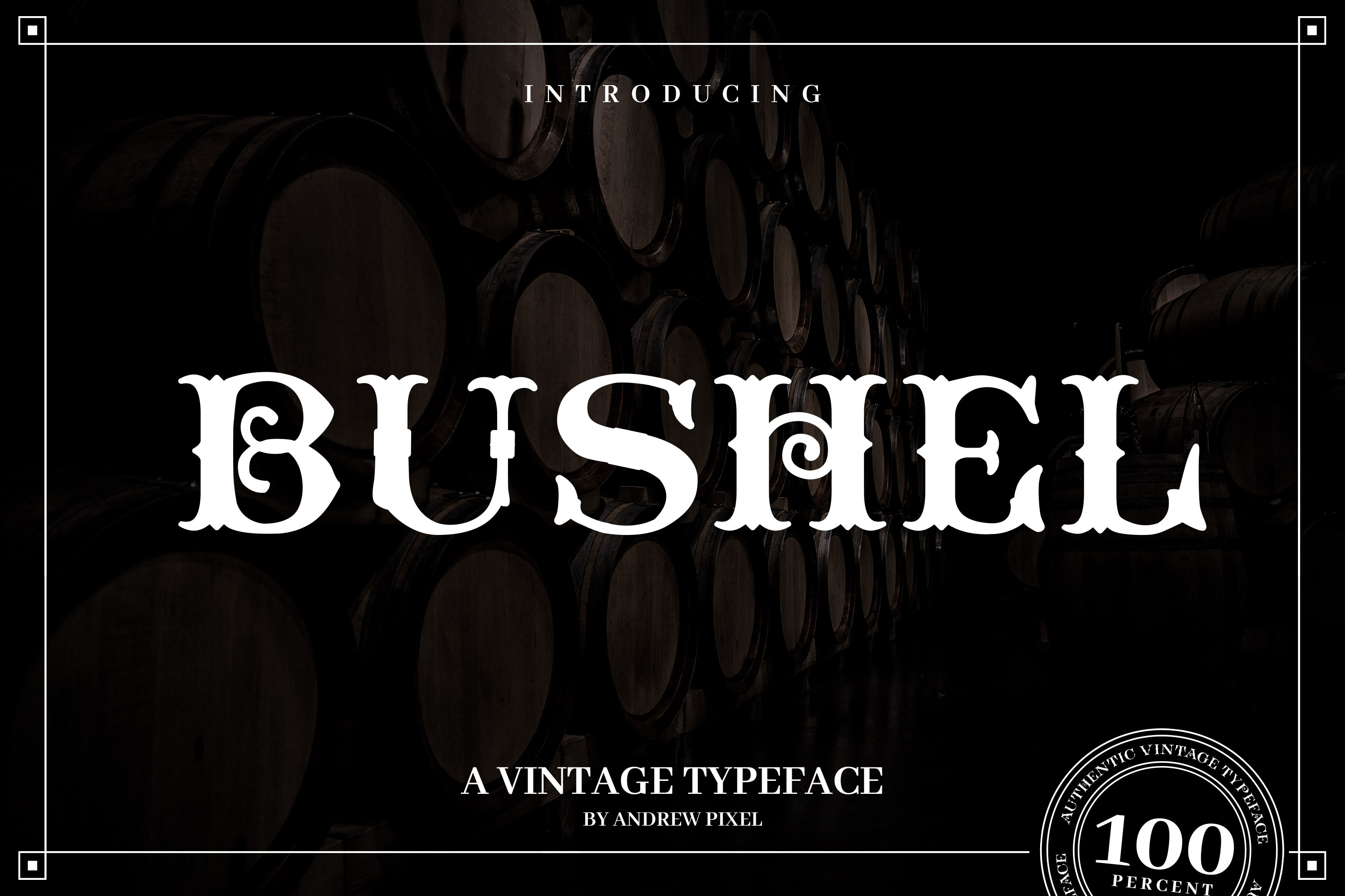 Bushel - A vintage Flourish Font, a Serif Font by AndrewPixel ...