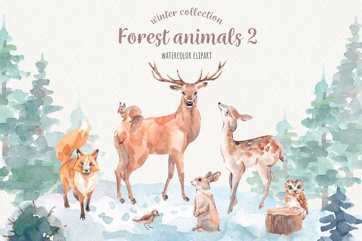Forest animals. Watercolor clipart, an Animal Illustration by VerAna