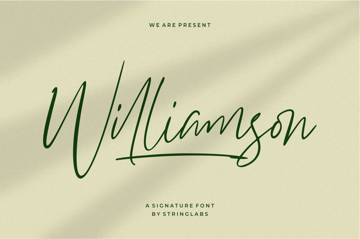 Williamson - Luxury Signature Font, a Script Font by StringLabs