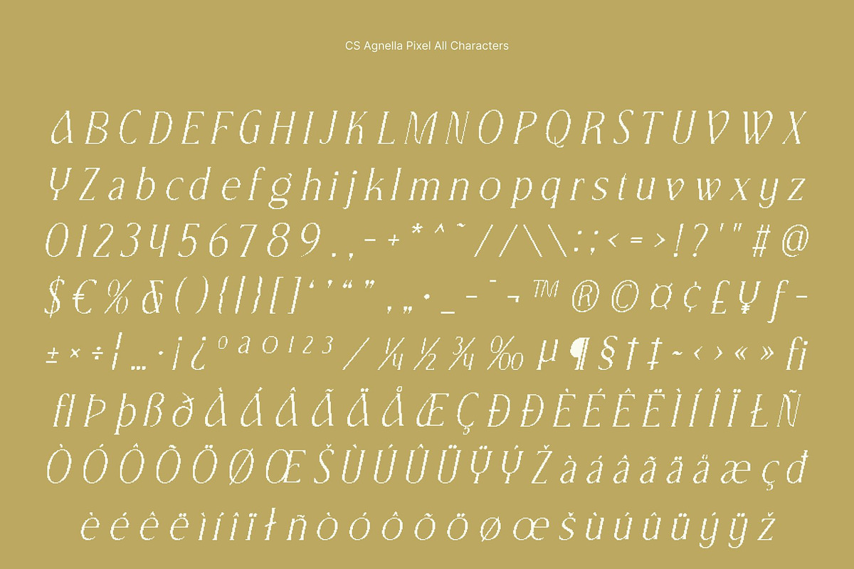 CS Agnella Pixel – Elegant Serif Font