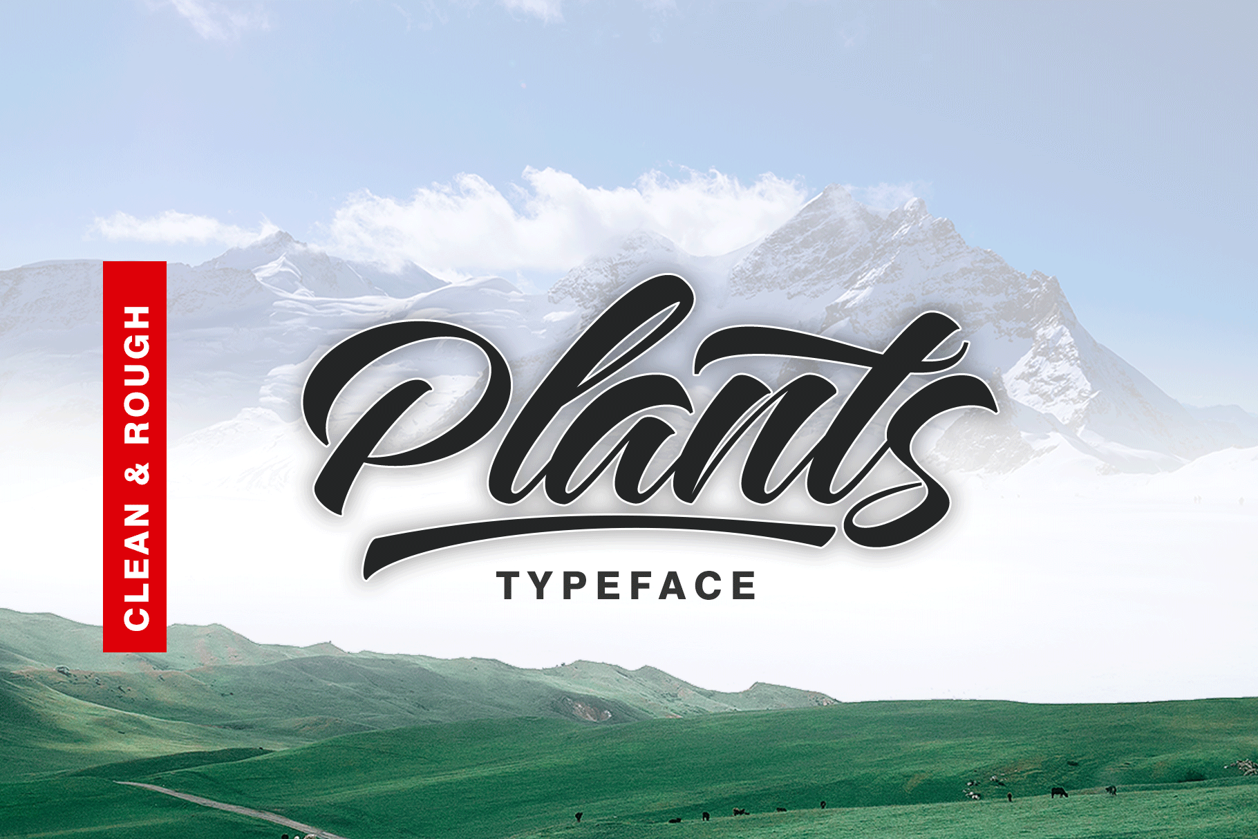 Plants Clean & Rough, a Script Font by artisans