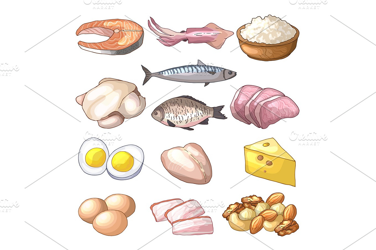 Useful products. Illustrations in cartoon style. Vector collection set ...