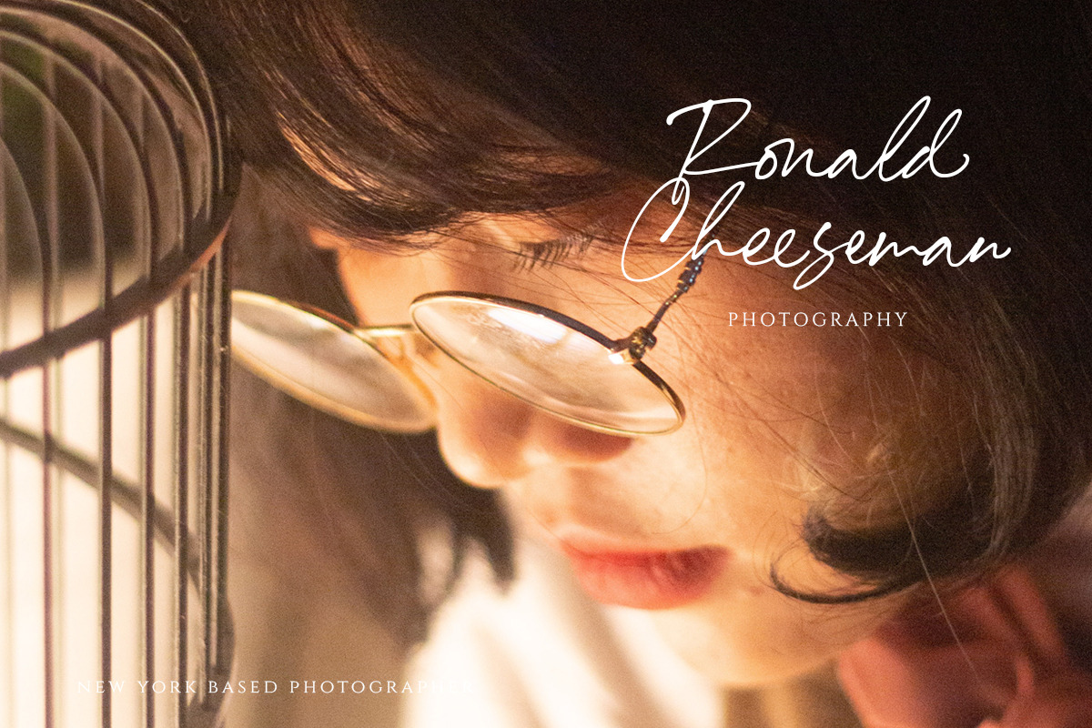 Annette Bradford - Ballpoint Script, a Script Font by Letterhend Studio