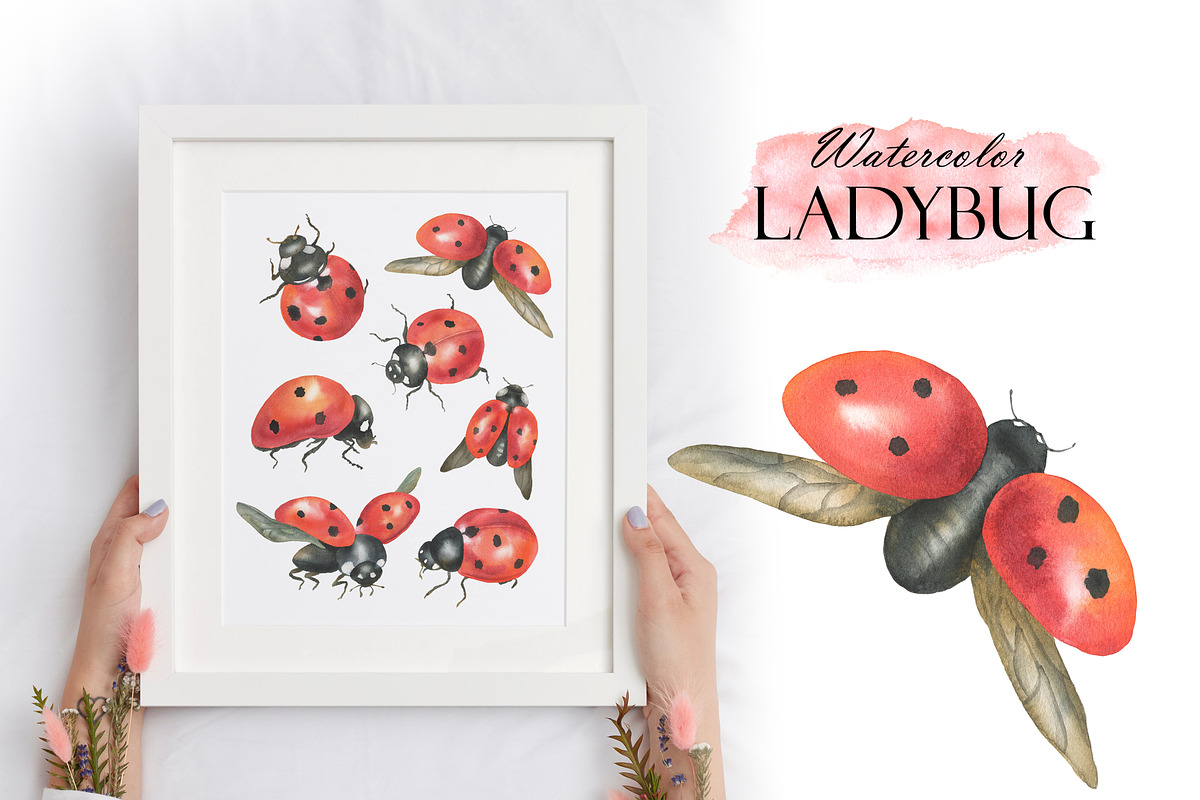 Watercolor Ladybug, an Animal Illustration by OlDm_Shop