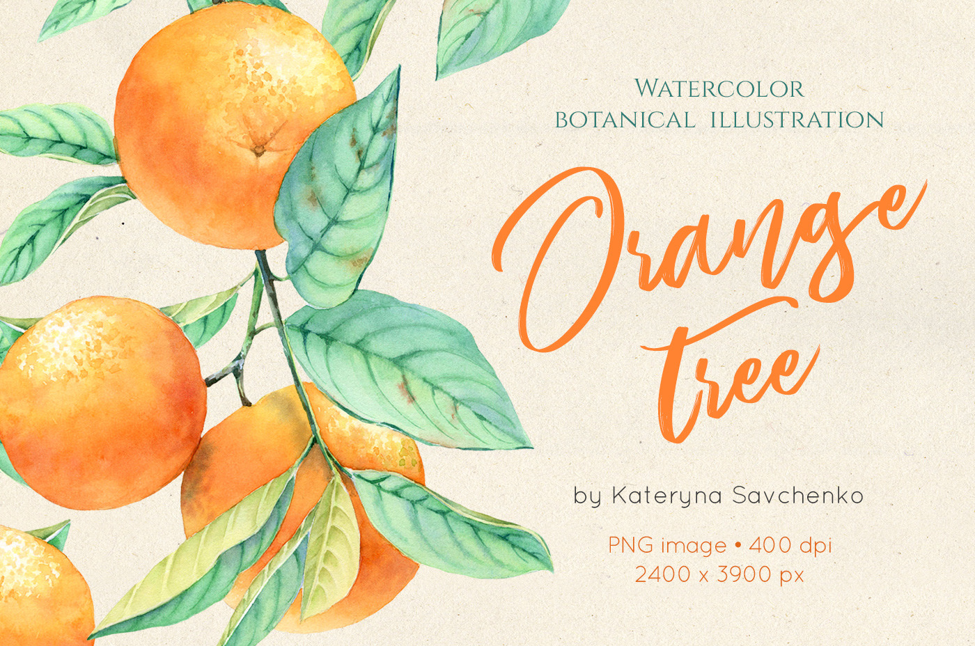 Orange Tree - Botanical Watercolor, a Graphic by Akvarelldesign