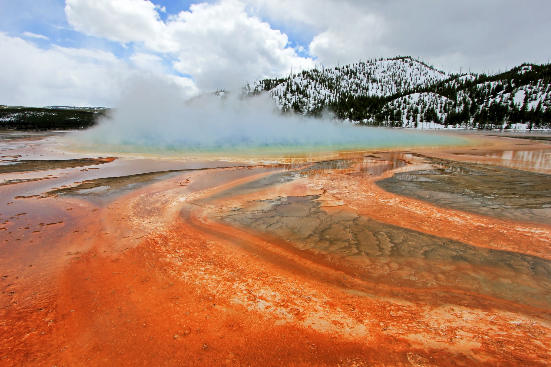 The famous grand prismatic spring in containing prismatic, spring, and ...
