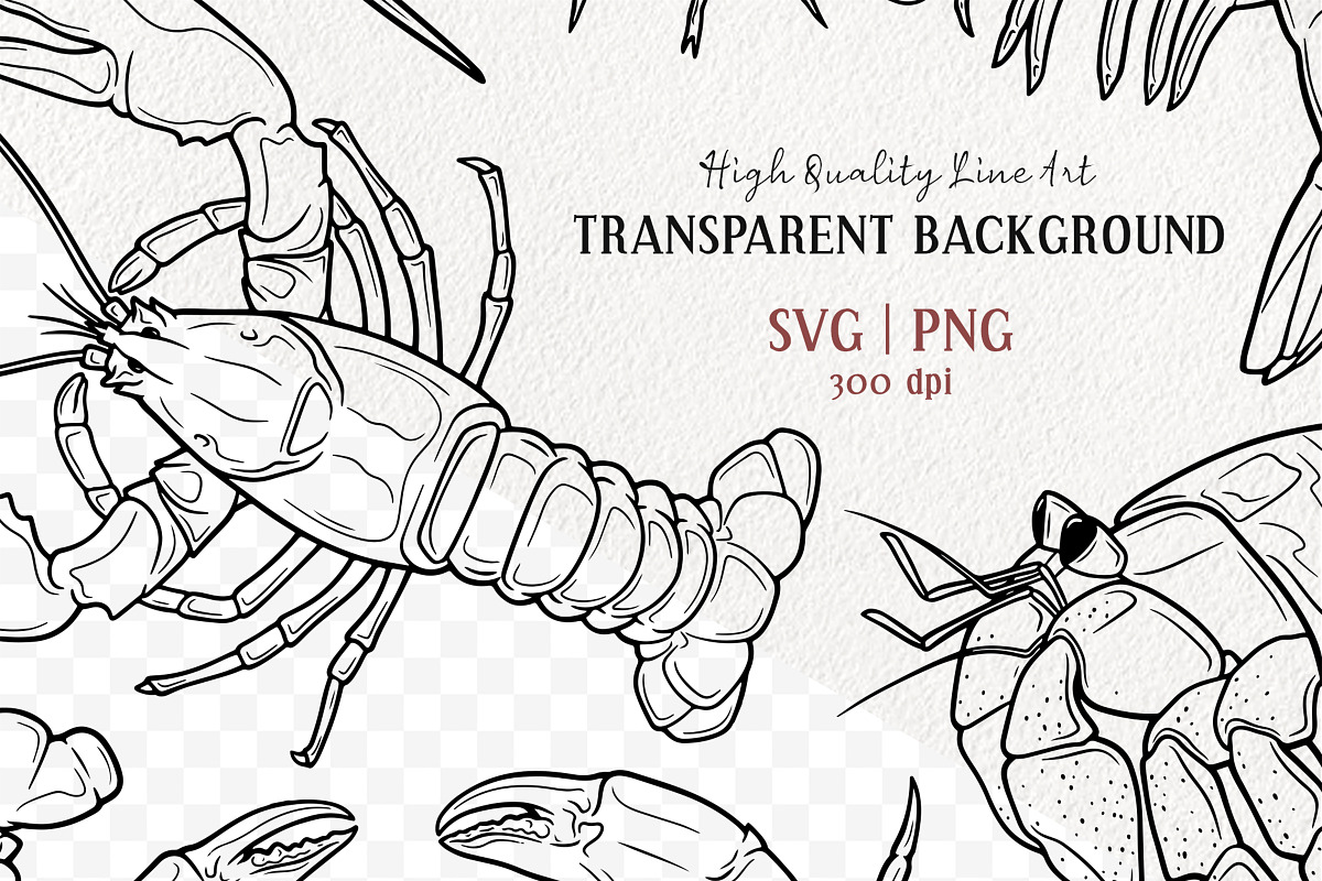 Hard Shell Sea Creatures Line Art, an Animal Illustration by MadliArt