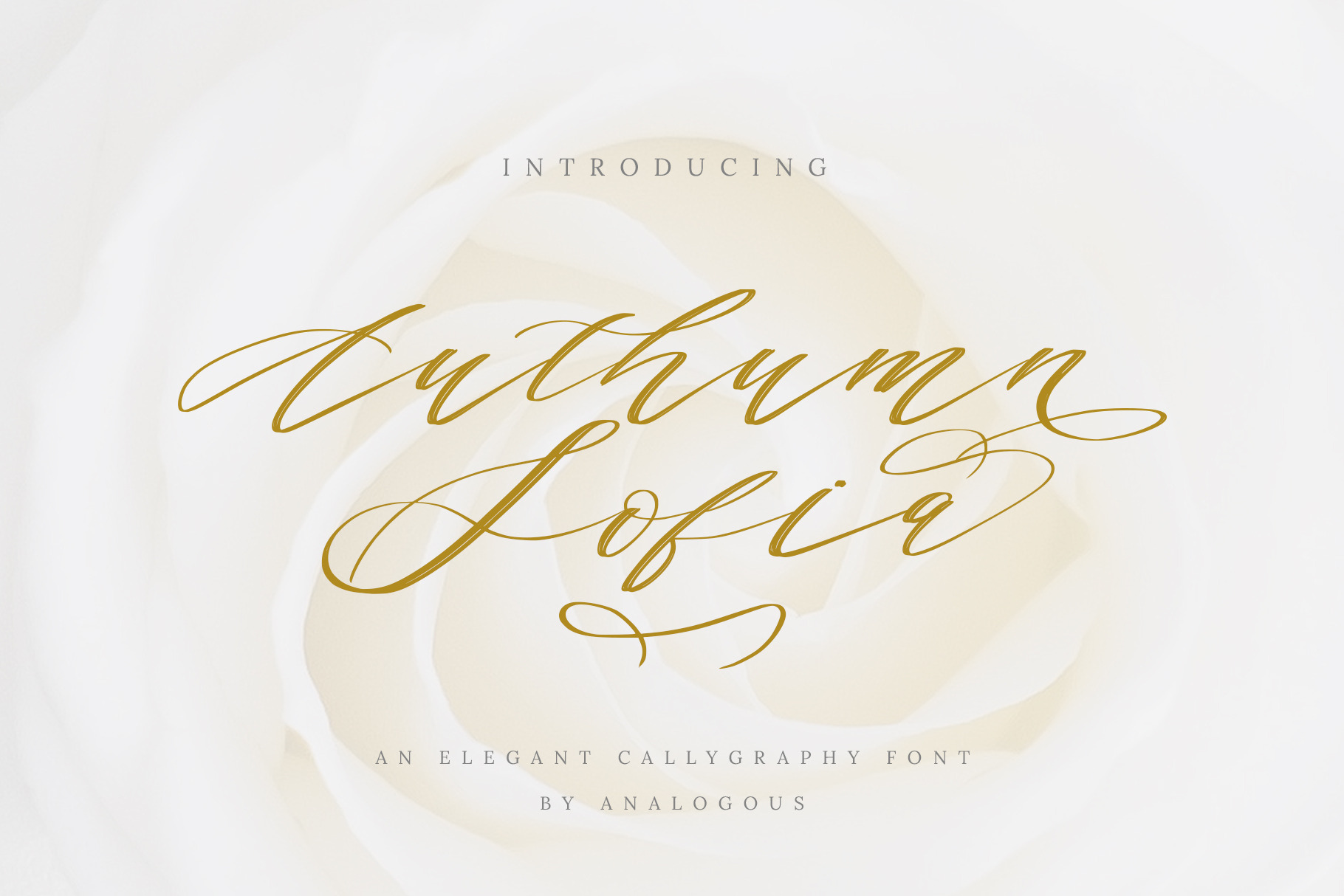 Authumn Sofia | Calligraphy Font, a Script Font by Analogous