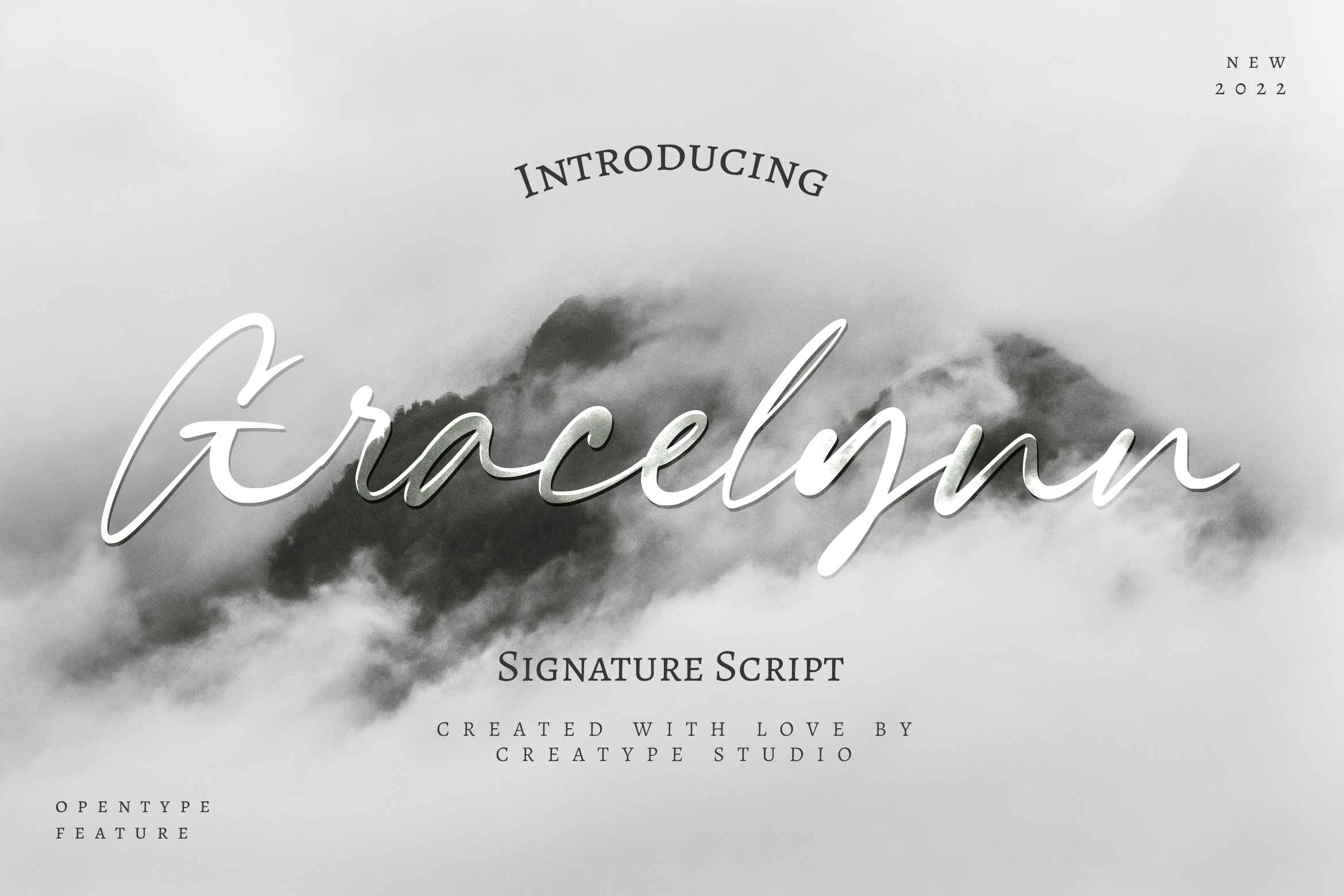 Gracelynn Signature Script, a Script Font by Creatype Studio