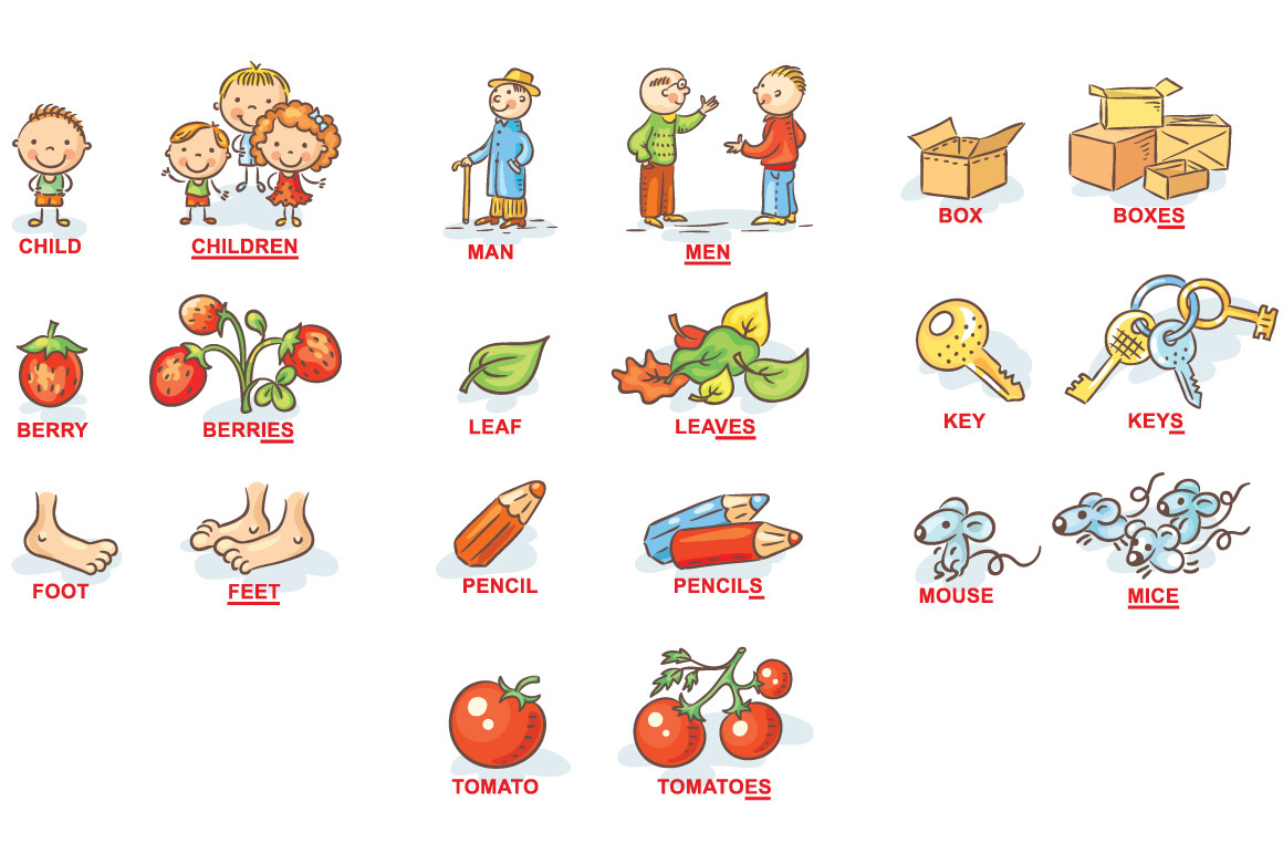 Plural of Nouns in Cartoon Pictures, an Education Illustration by ...
