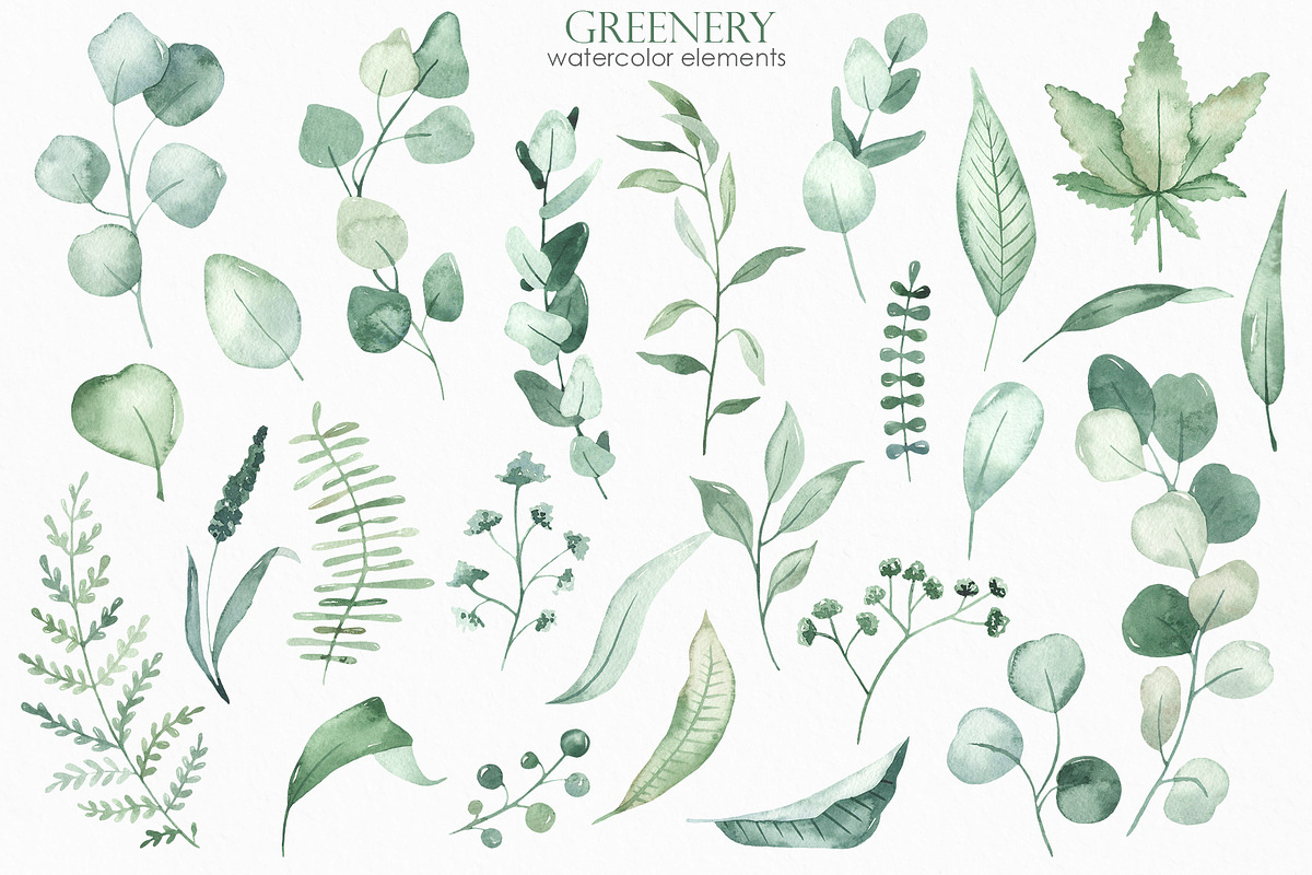 Greenery watercolor collection